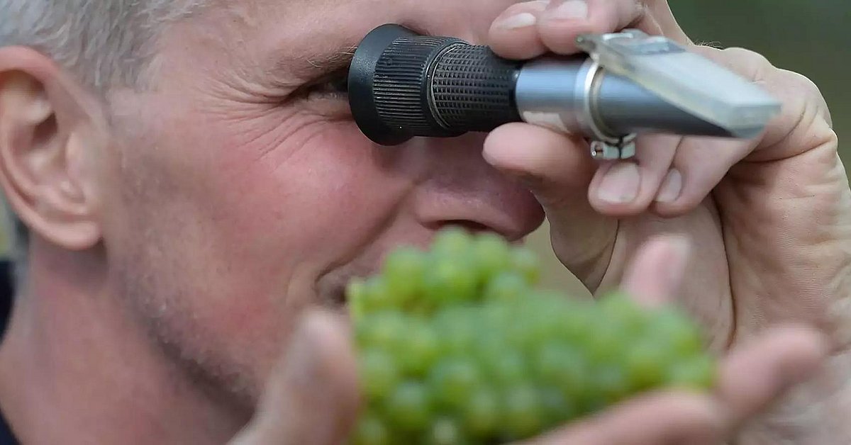 Deutsches Weininstitut: Mostgewicht